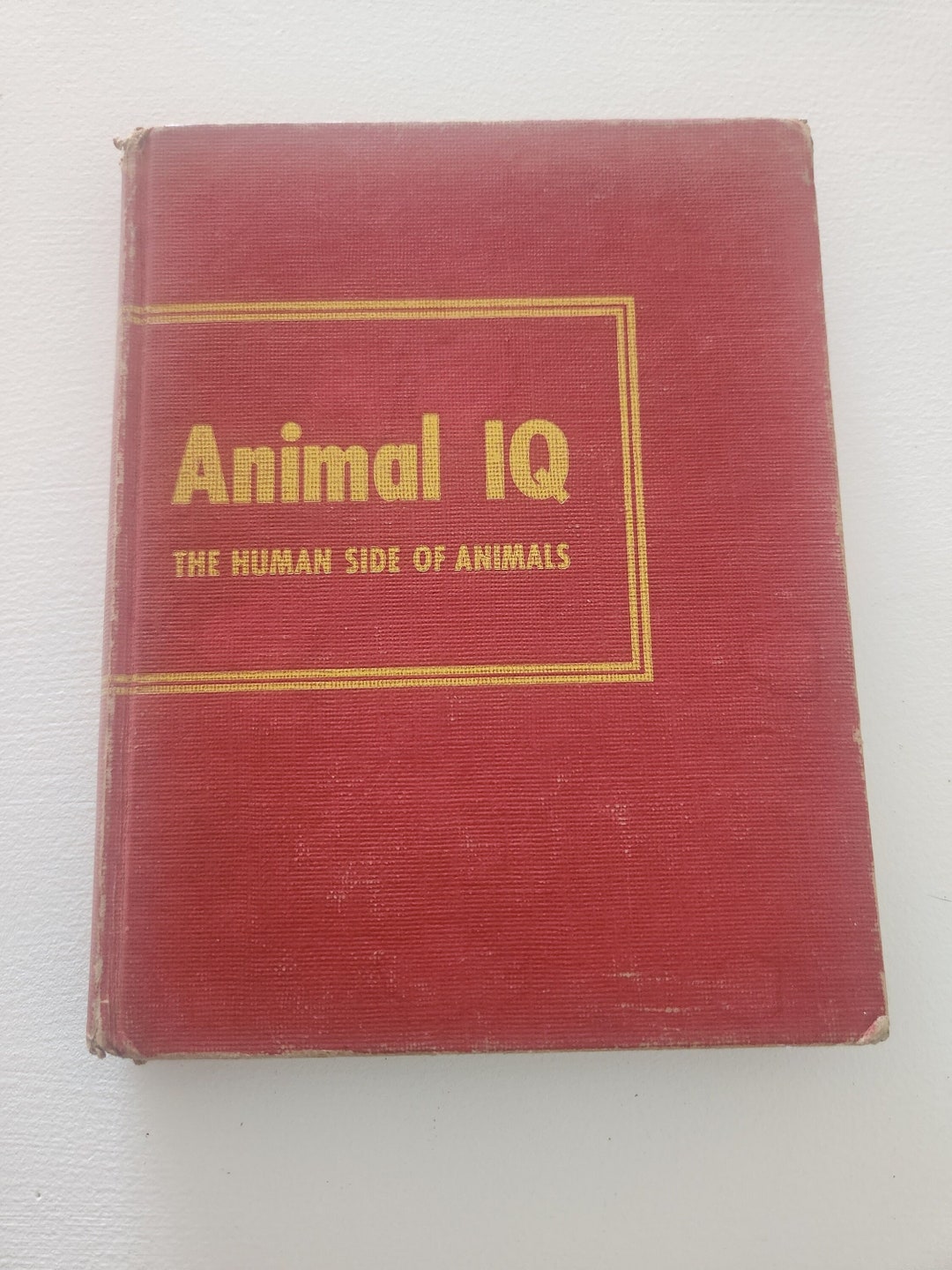 Animal IQ the Human Side of Animals by Vance Packard -- 1950 Vintage ...