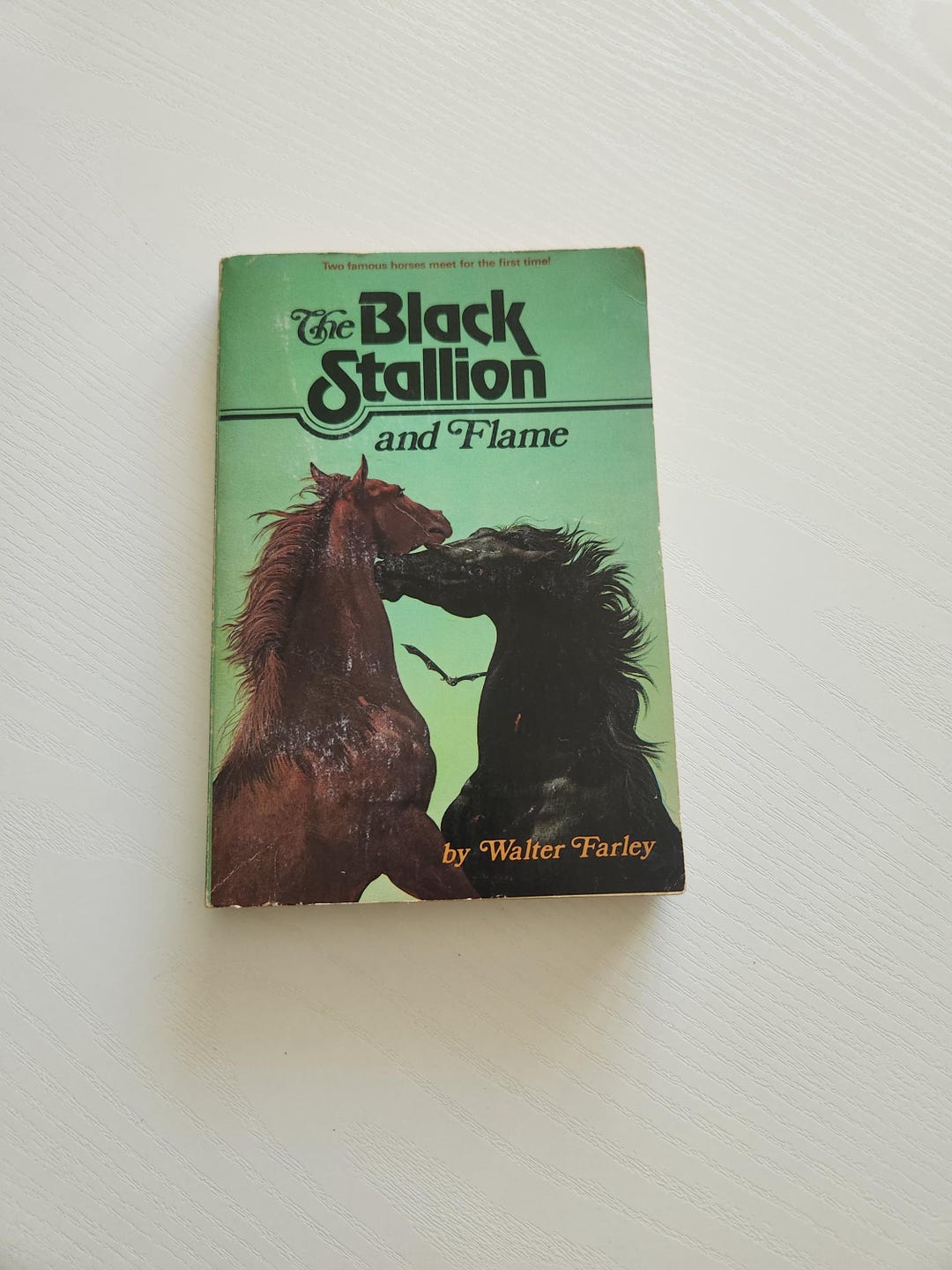 The Black Stallion and Flame by Walter Farley { 1960 } Vintage Children ...