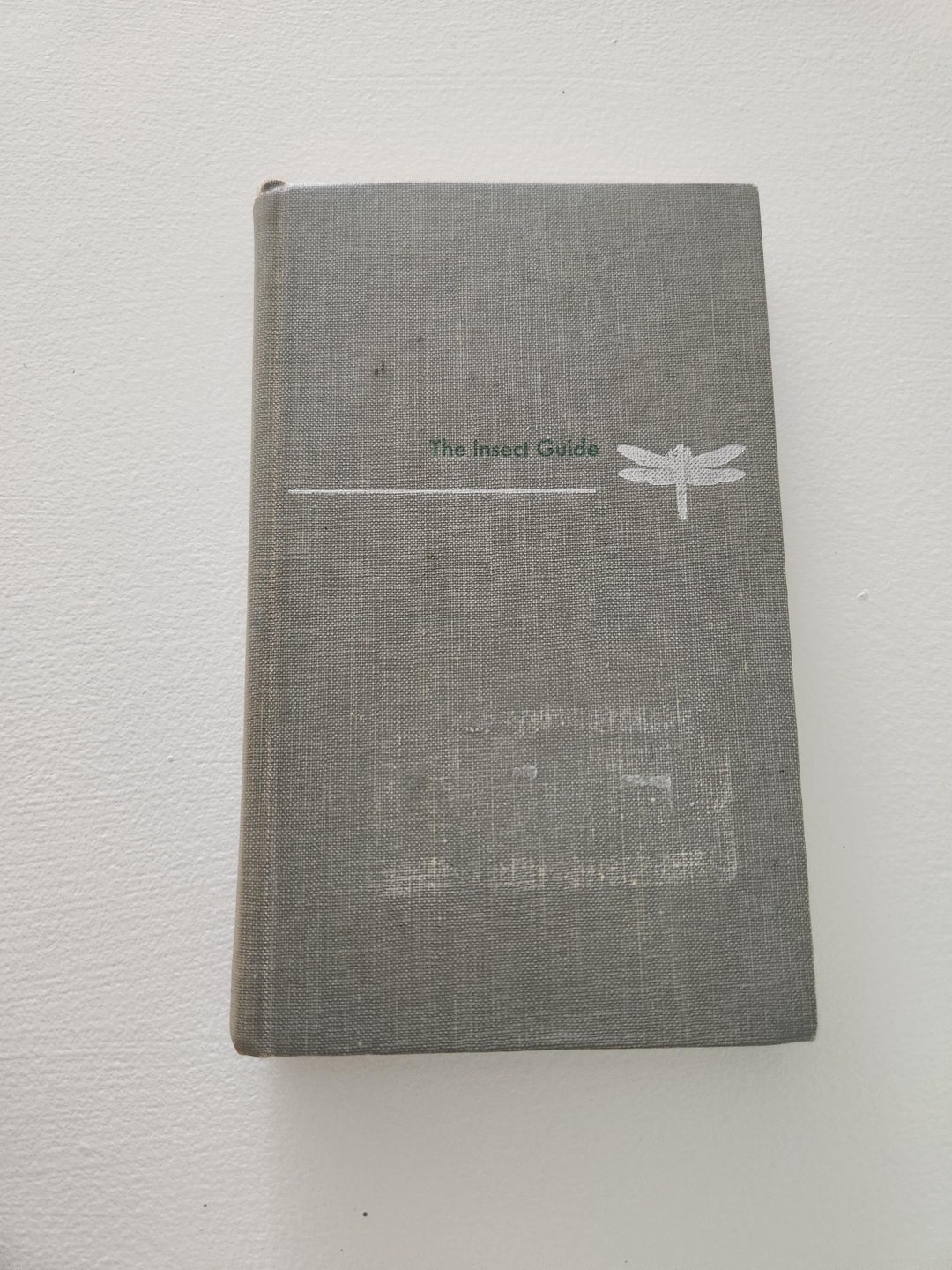 The Insect Guide Orders & Major Families of North American Insects ...