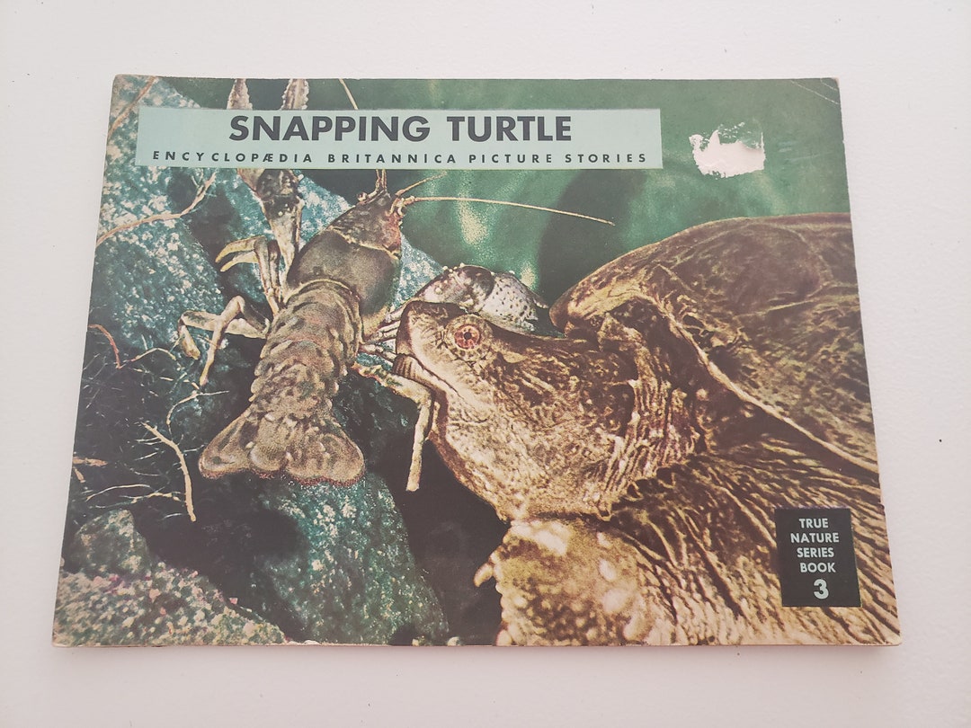 Snapping Turtles True Nature Series Book 3 1946 Rare Vintage Children's ...