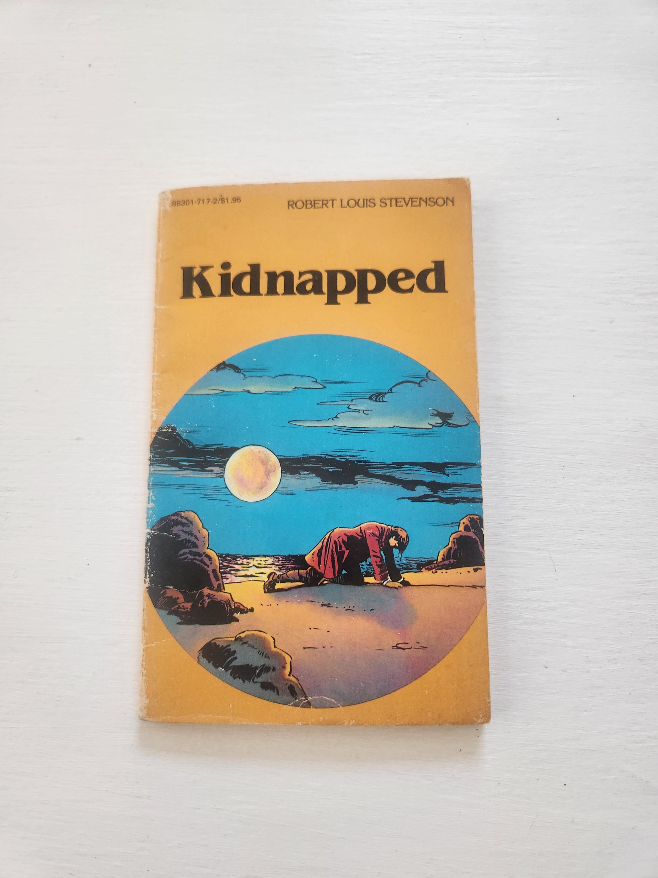 Kidnapped Book Series