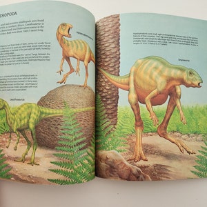 Dinosaurs & Other Archosaurs by Peter Zallinger 1986 Vintage Children's ...