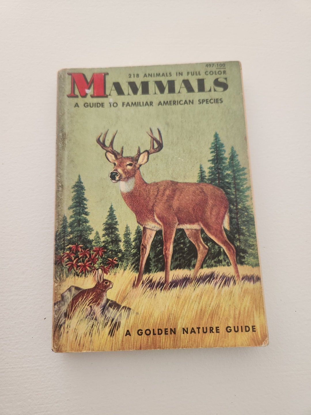 A Golden Nature Guide Mammals by Herbert S Zim -- 1955 Vintage Nature ...