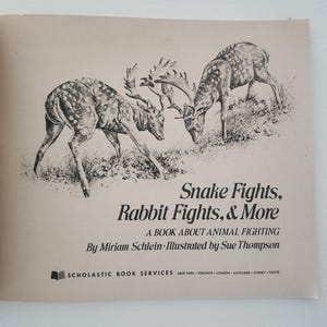 Snake Fights Rabbit Fights & More A Book About Animal Fighting by ...