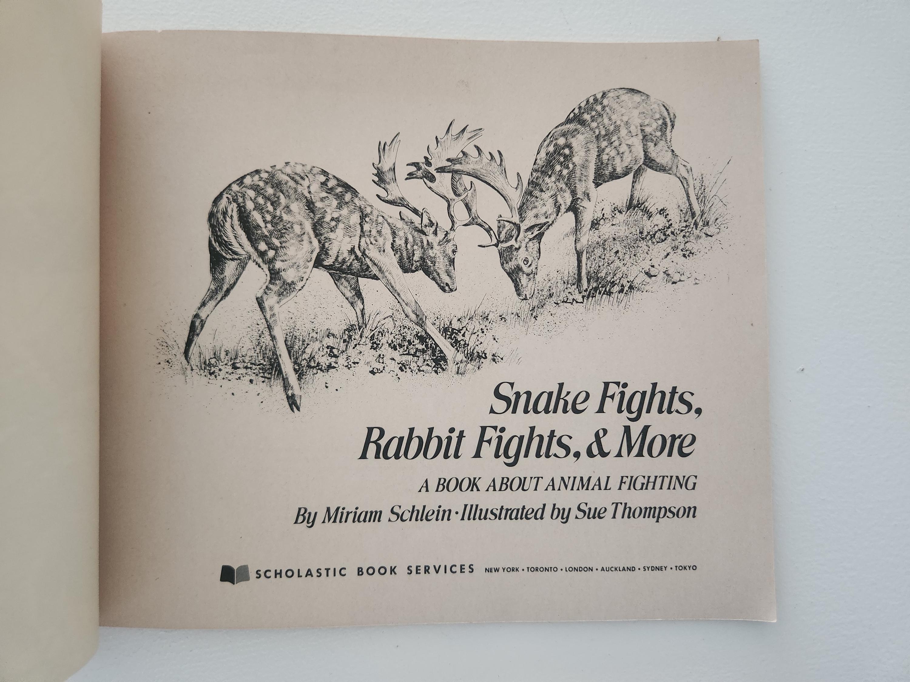 Snake Fights Rabbit Fights & More A Book About Animal Fighting by ...