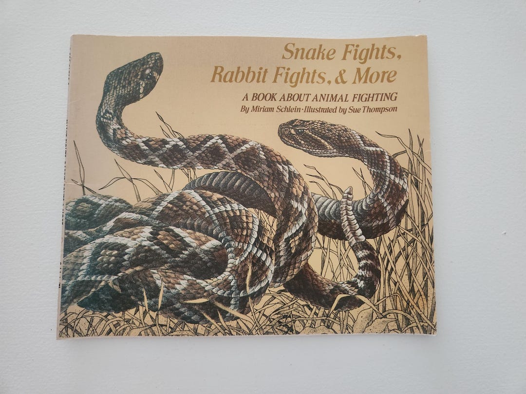 Snake Fights Rabbit Fights & More A Book About Animal Fighting by ...