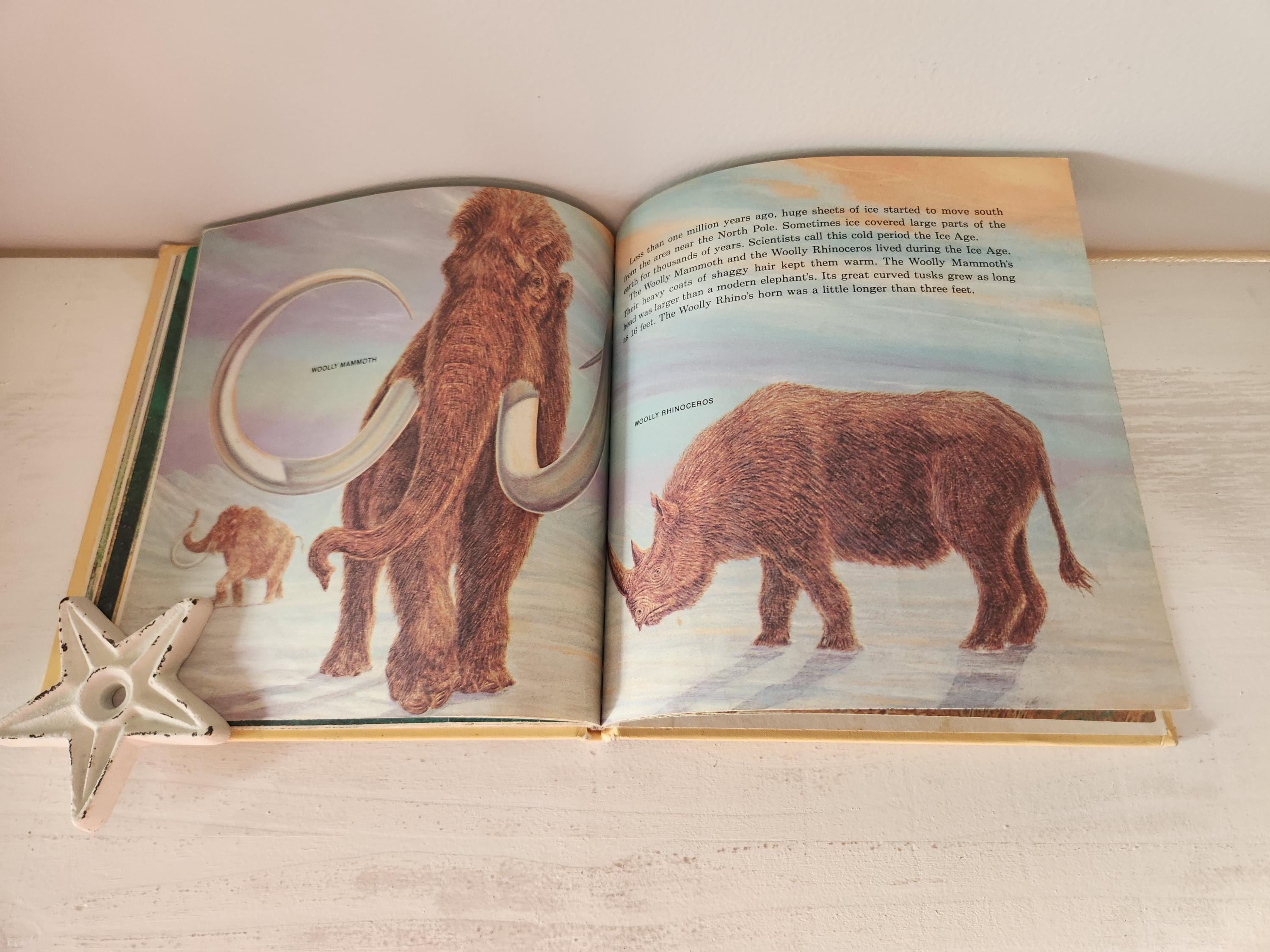 Prehistoric Animals Vintage Children's Book by Peter Zallinger (1978 ...