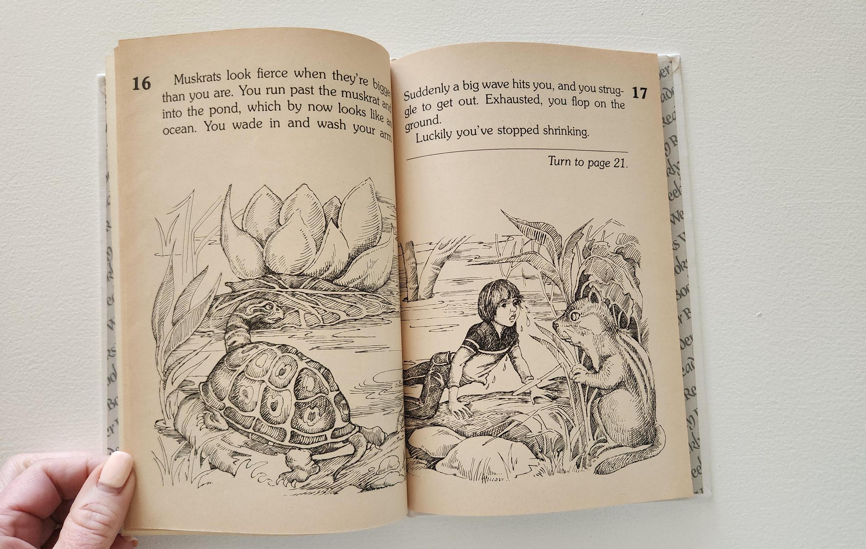 Choose Your Own Adventure You're the Star of the Story Help You're ...
