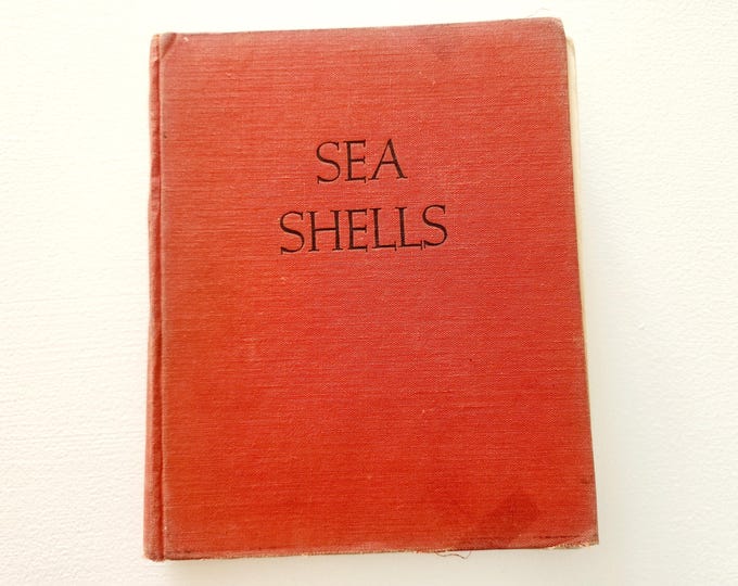 Sea Shells by Ruth H. Dudley -- 1953 Vintage Shell Illustrations Book ...