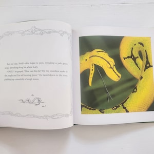 Verdi by Janell Cannon -- Vintage Children's Book -- Juvenile ...