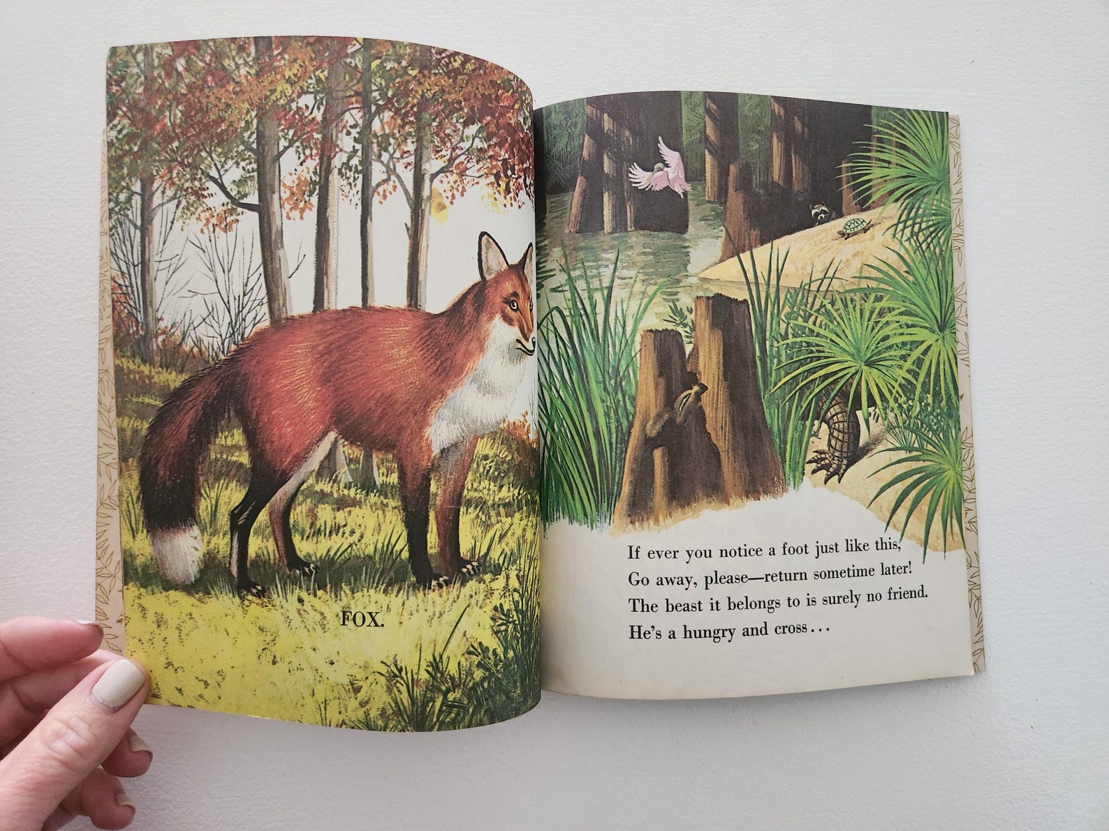 Marlin Perkins Wild Kingdom A Can You Guess Book by Esta Meier { 1976 ...