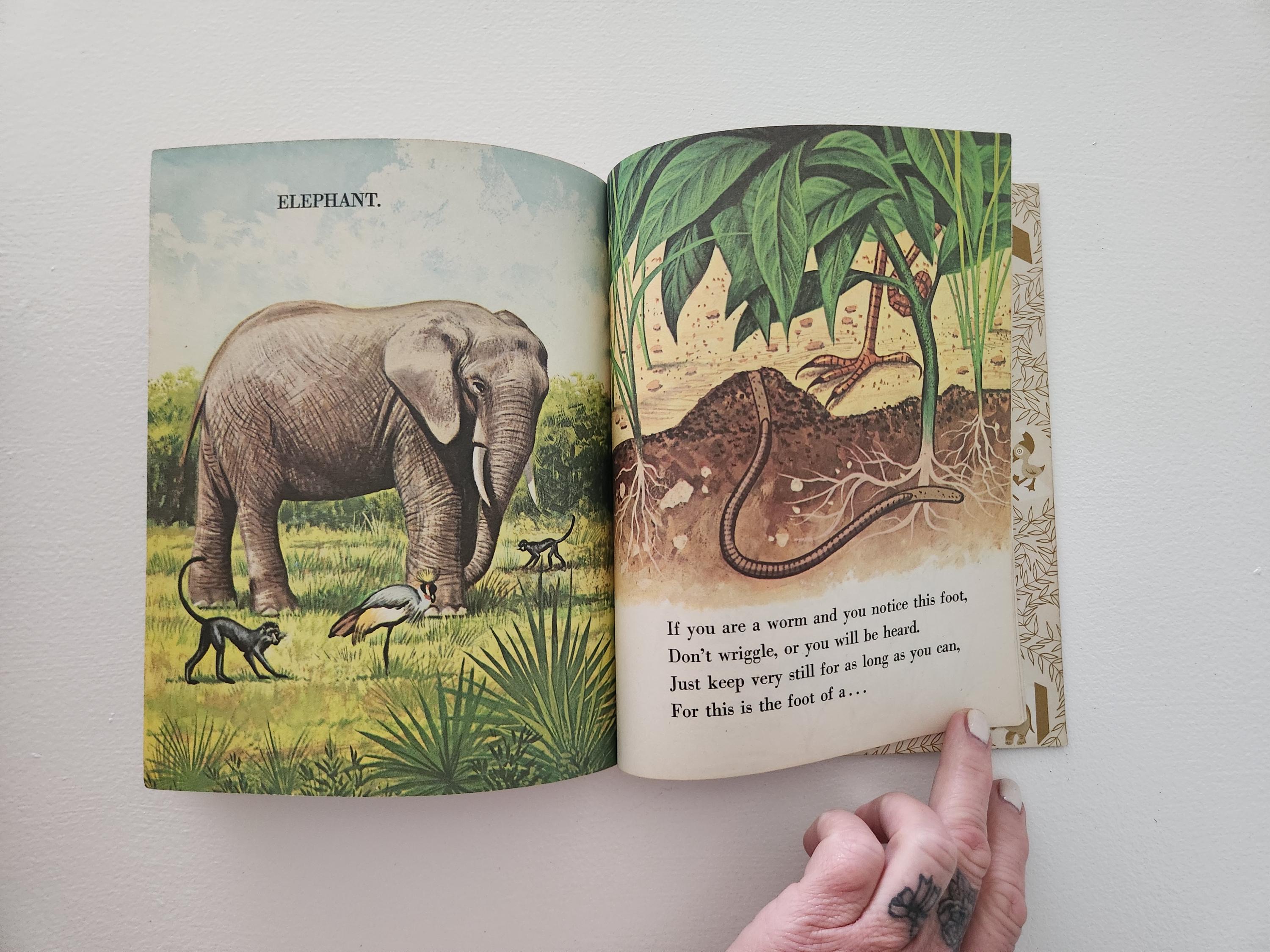 Marlin Perkins Wild Kingdom A Can You Guess Book by Esta Meier { 1976 ...
