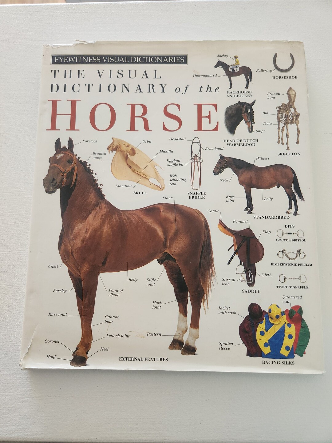 Eyewitness Visual Dictionaries the Visual Dictionary of the Horse ...