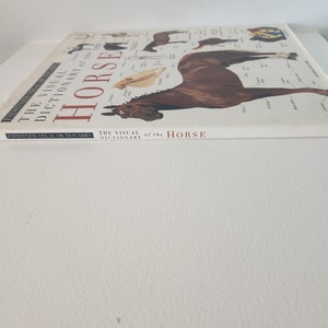 Eyewitness Visual Dictionaries the Visual Dictionary of the Horse ...
