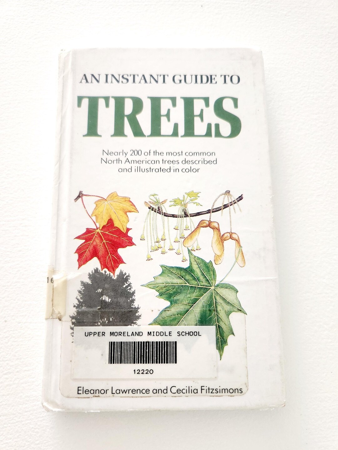 An Instant Guide to Trees by Eleanor G. Lawrence 1985 Tree ...