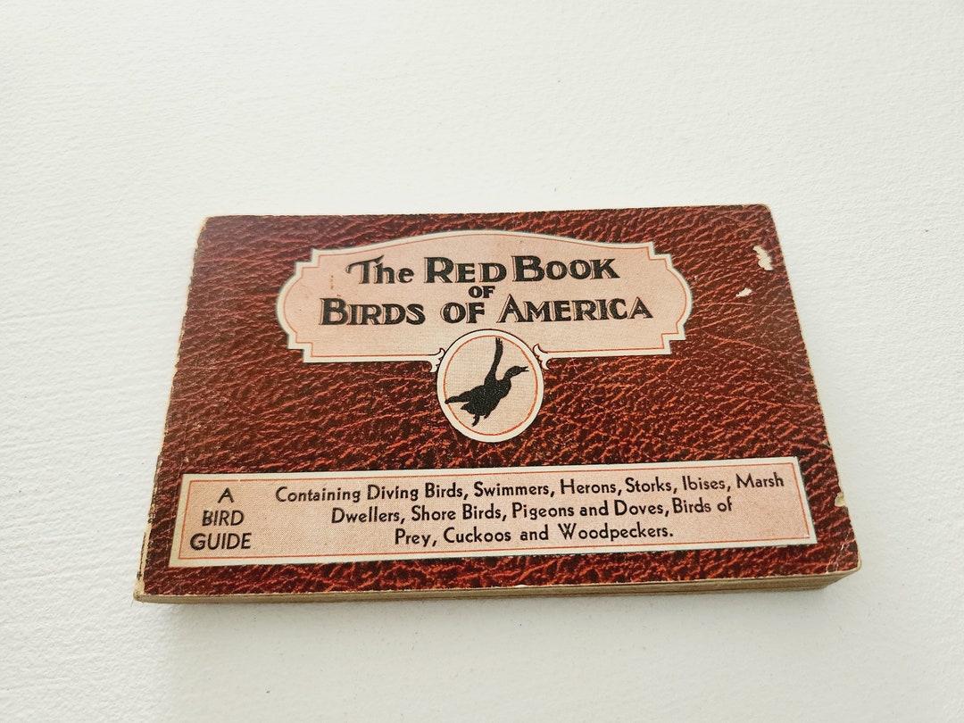 The Red Book of Birds of America by Frank G. Ashbrook -- 1931 Vintage ...