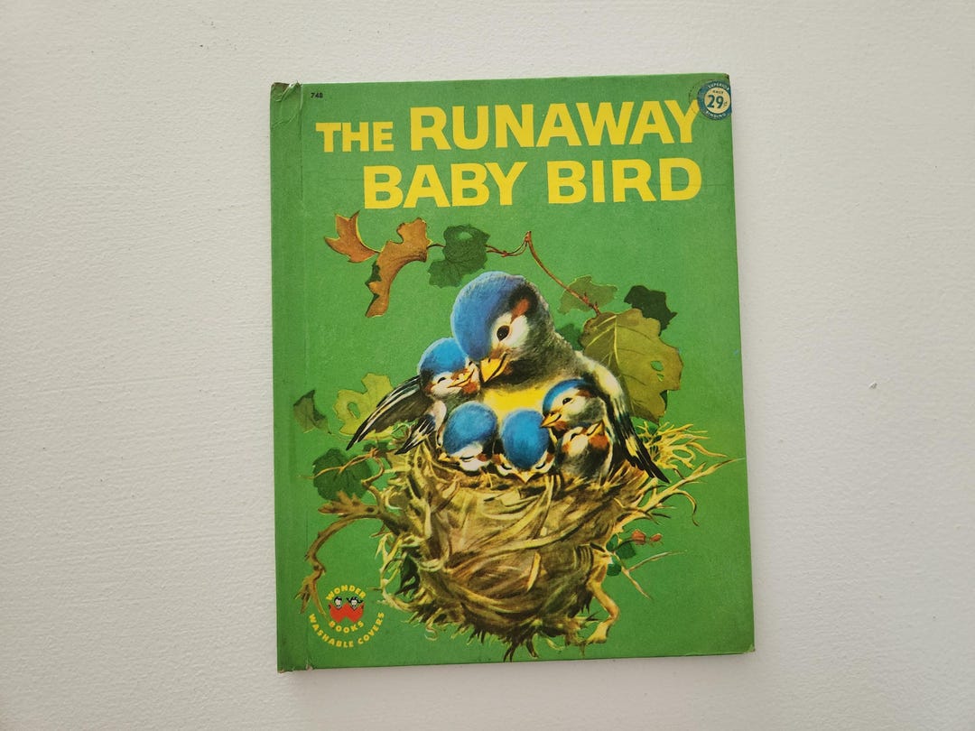 The Runaway Baby Bird by Marguerite Walters -- 1960 Vintage Children's ...