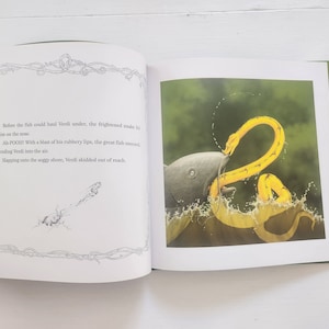 Verdi by Janell Cannon -- Vintage Children's Book -- Juvenile ...