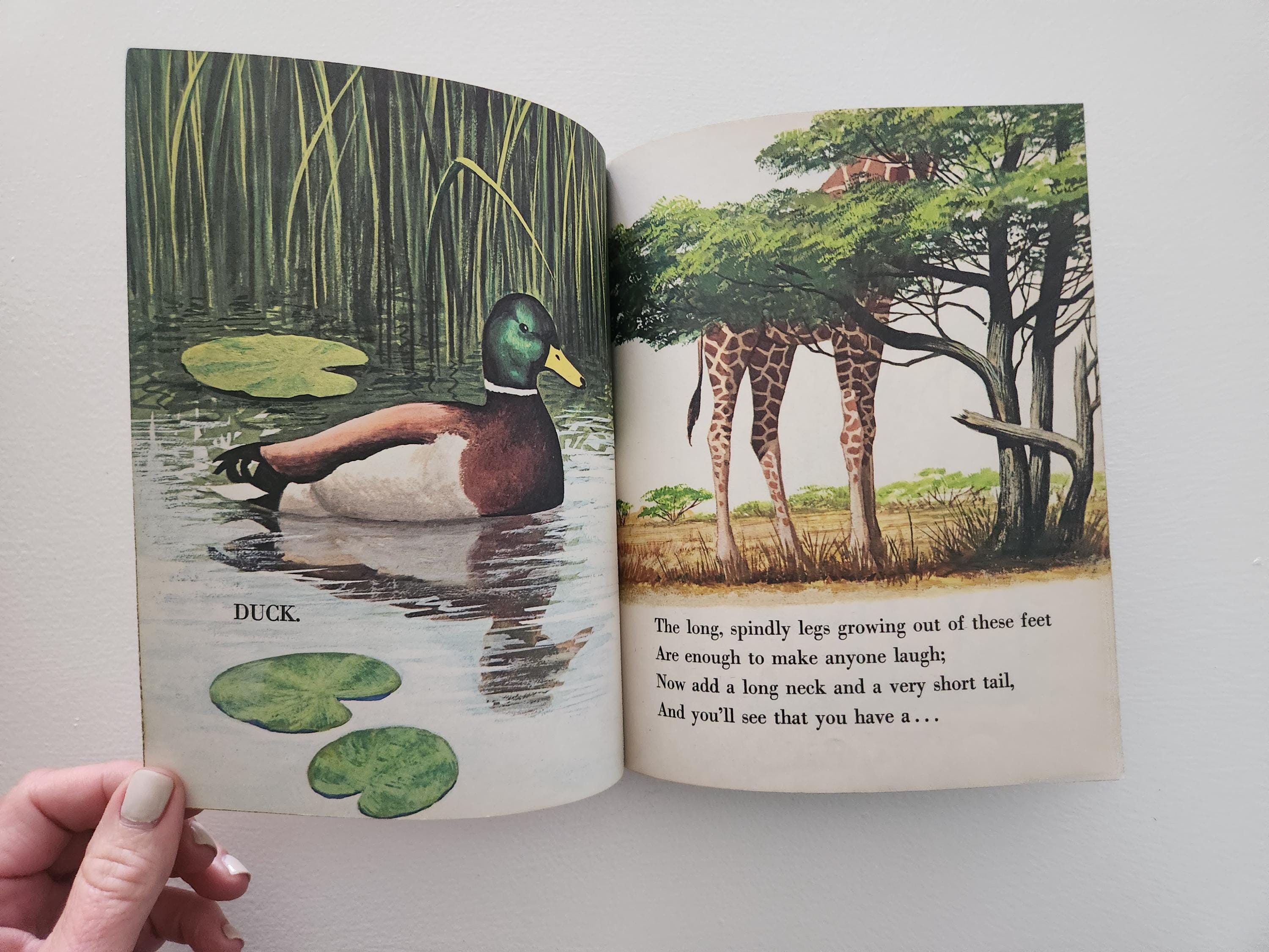 Marlin Perkins Wild Kingdom A Can You Guess Book by Esta Meier { 1976 ...