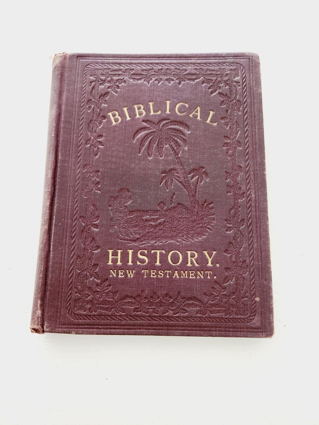 Antique Biblical History New Testament in the Words of Holy Scipture ...