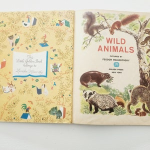 Wild Animals Pictures by Feodor Rojankovsky 1960s Vintage Children's ...