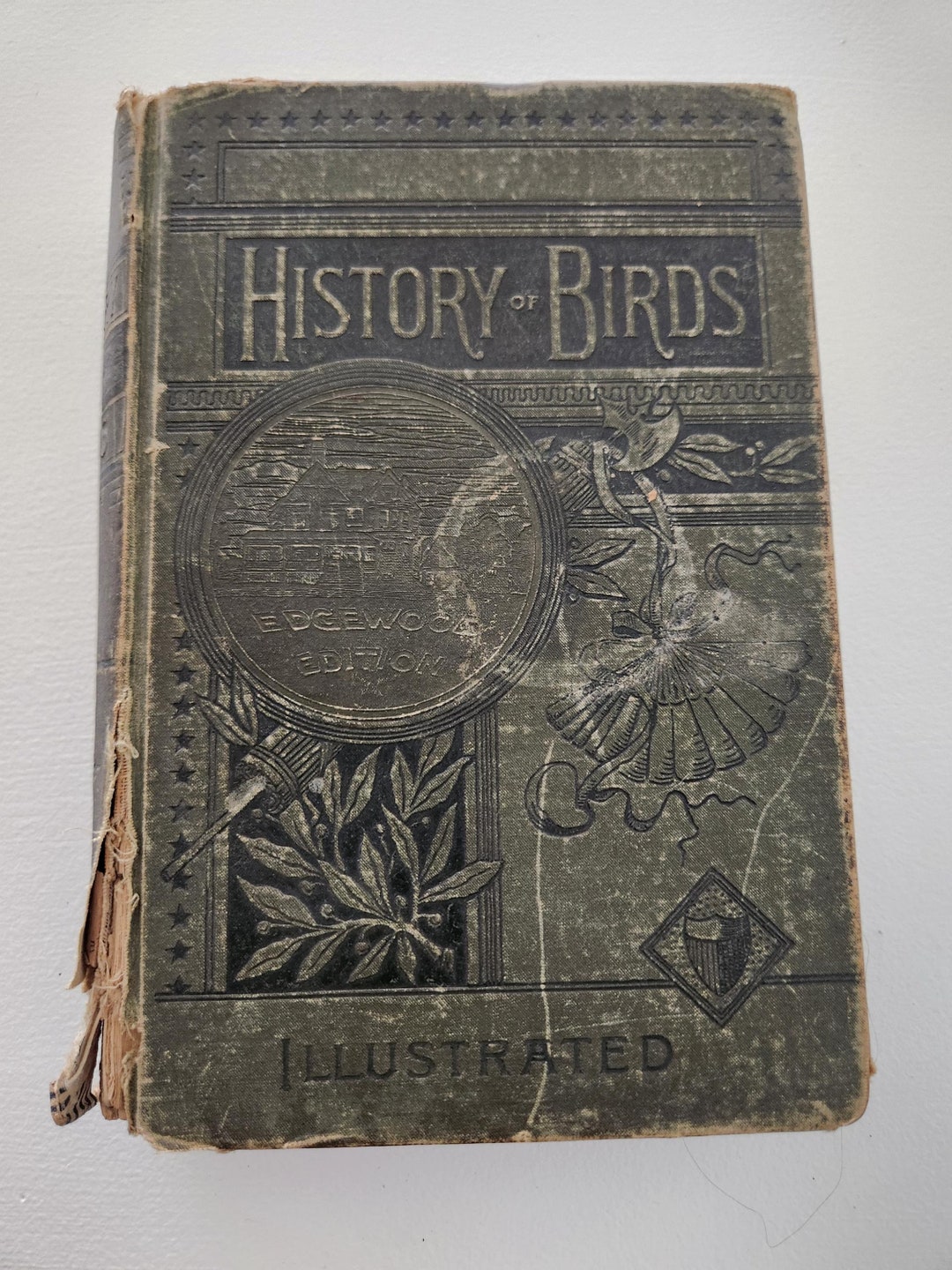 Antique the History of Birds Their Varieties & Oddities by Rev. W ...