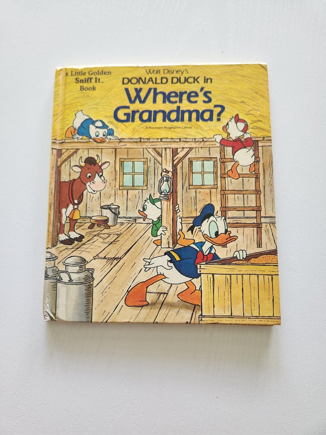 Wat Disney's Donald Duck in Where's Grandma? Little Golden Sniff It ...