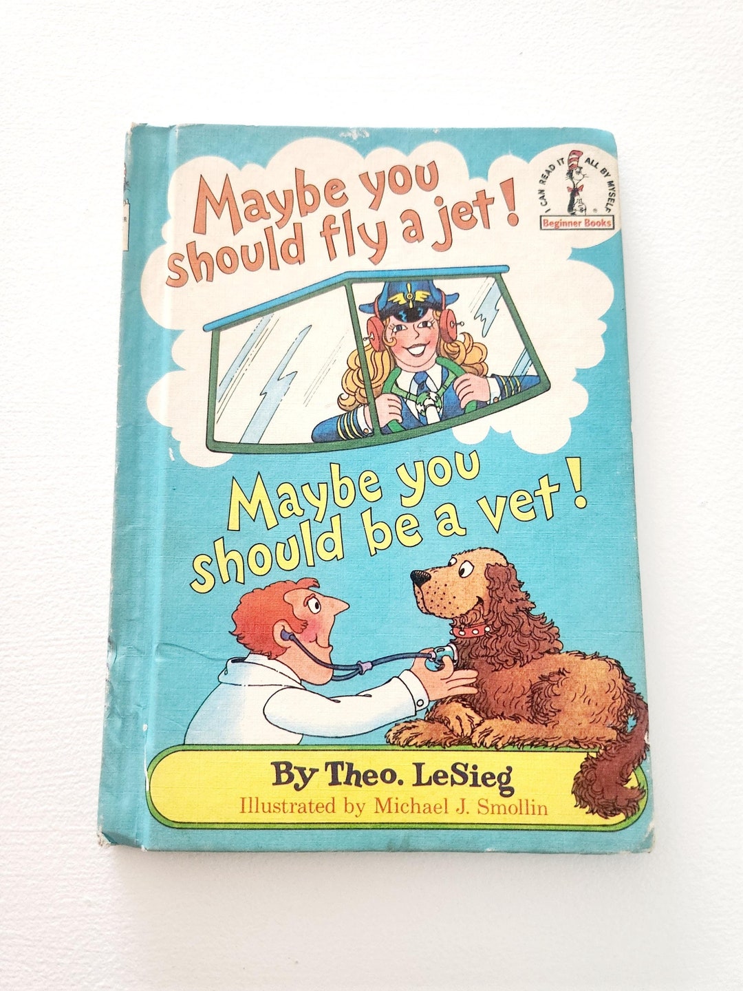 Maybe You Should Fly A Jet, Maybe You Should Be A Vet by Theo Lesieg ...