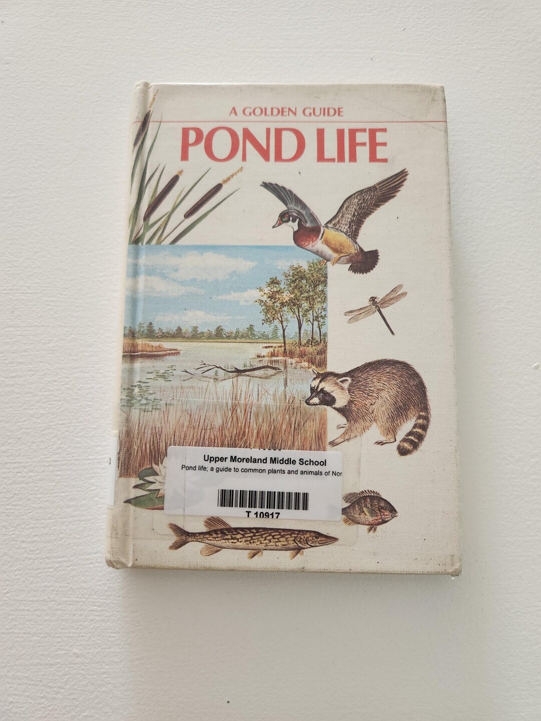 Pond Life-a Guide to Common Plants and Animals of North American Ponds ...