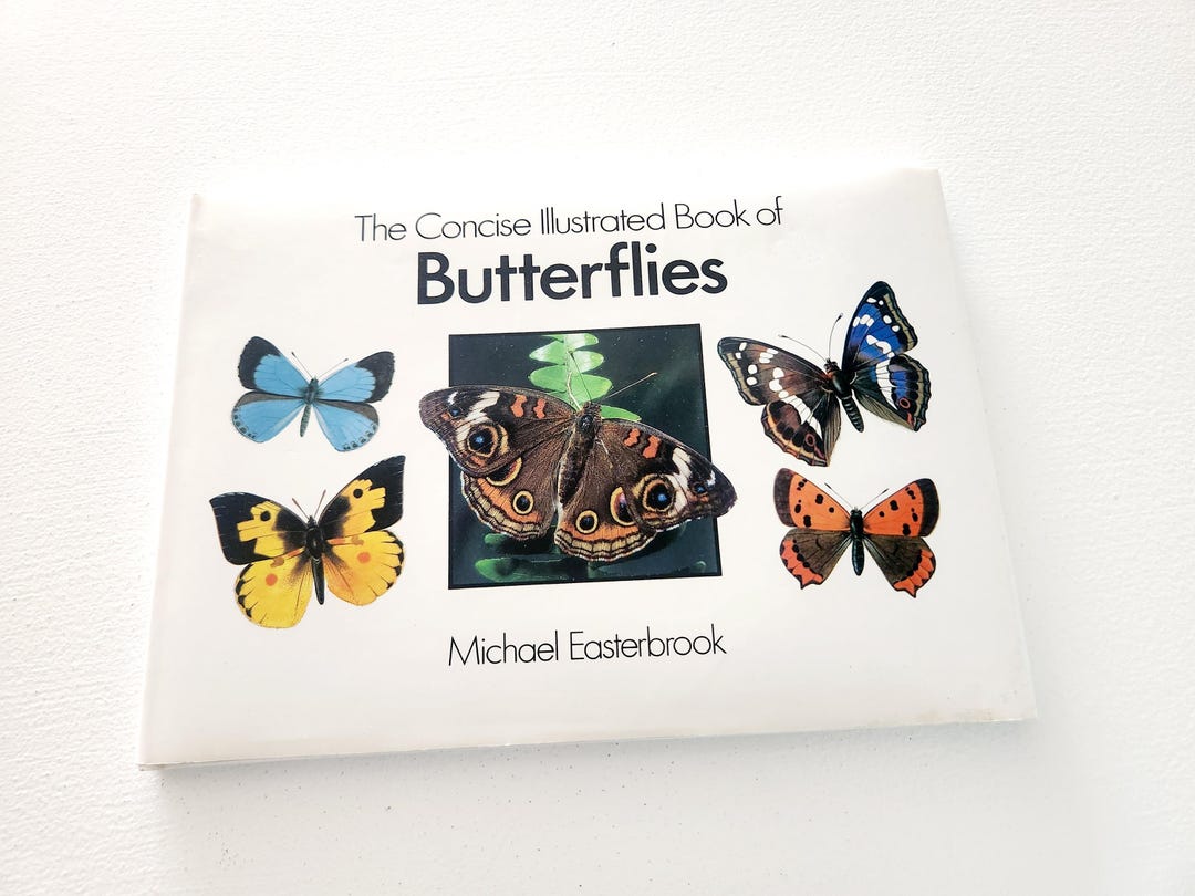 The Concise Illustrated Book of Butterflies by Michael Easterbrook ...