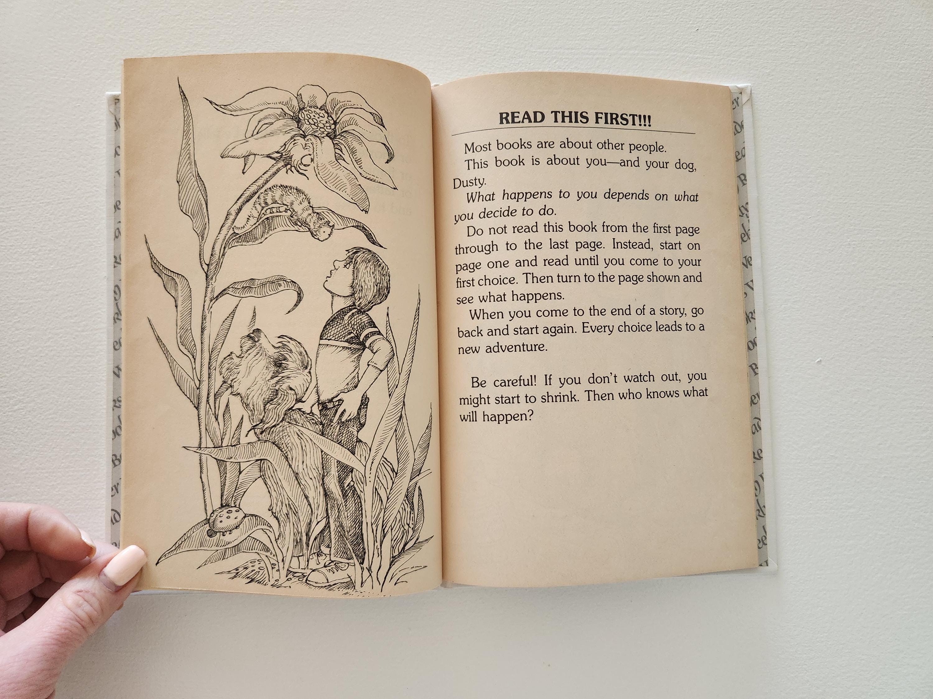 Choose Your Own Adventure You're the Star of the Story Help You're ...