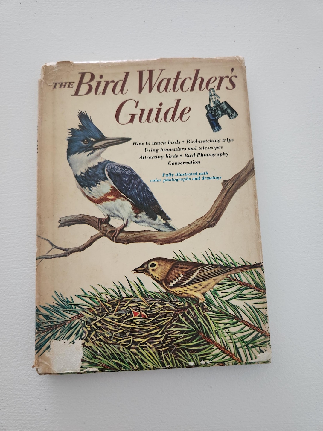 The Bird Watcher's Guide by Henry Hill Collins -- 1961 Vintage Bird ...