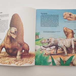 Dinosaurs & Other Archosaurs by Peter Zallinger 1986 Vintage Children's ...