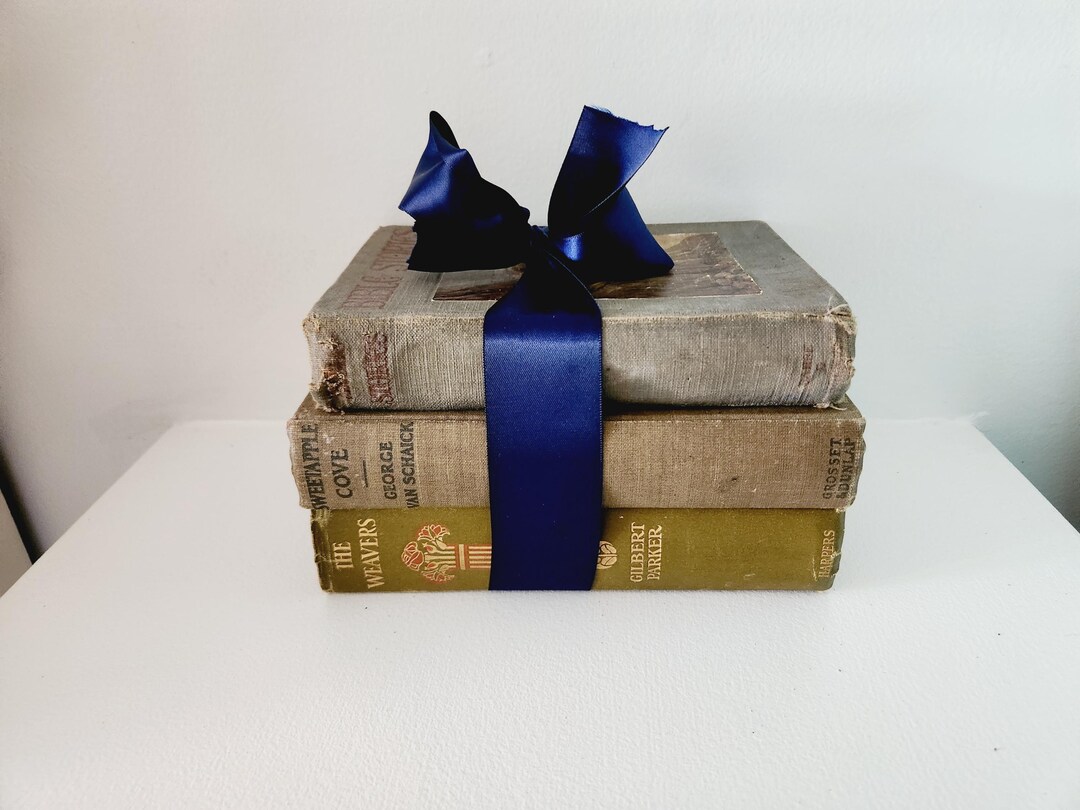 Antique Book Bundle Set of 3 Old Books antique Novels Decorative Book ...