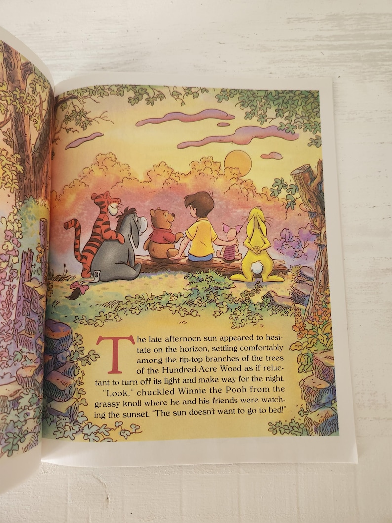Winnie the Pooh's Halloween by Bruce Talkington { 1993 } Vintage ...