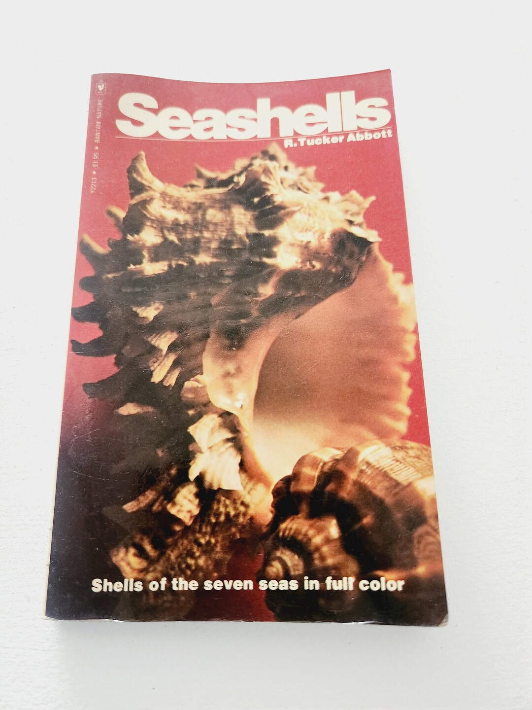 Seashells by R. Tucker Abbott -- 1976 Vintage Nature Guide Book ...
