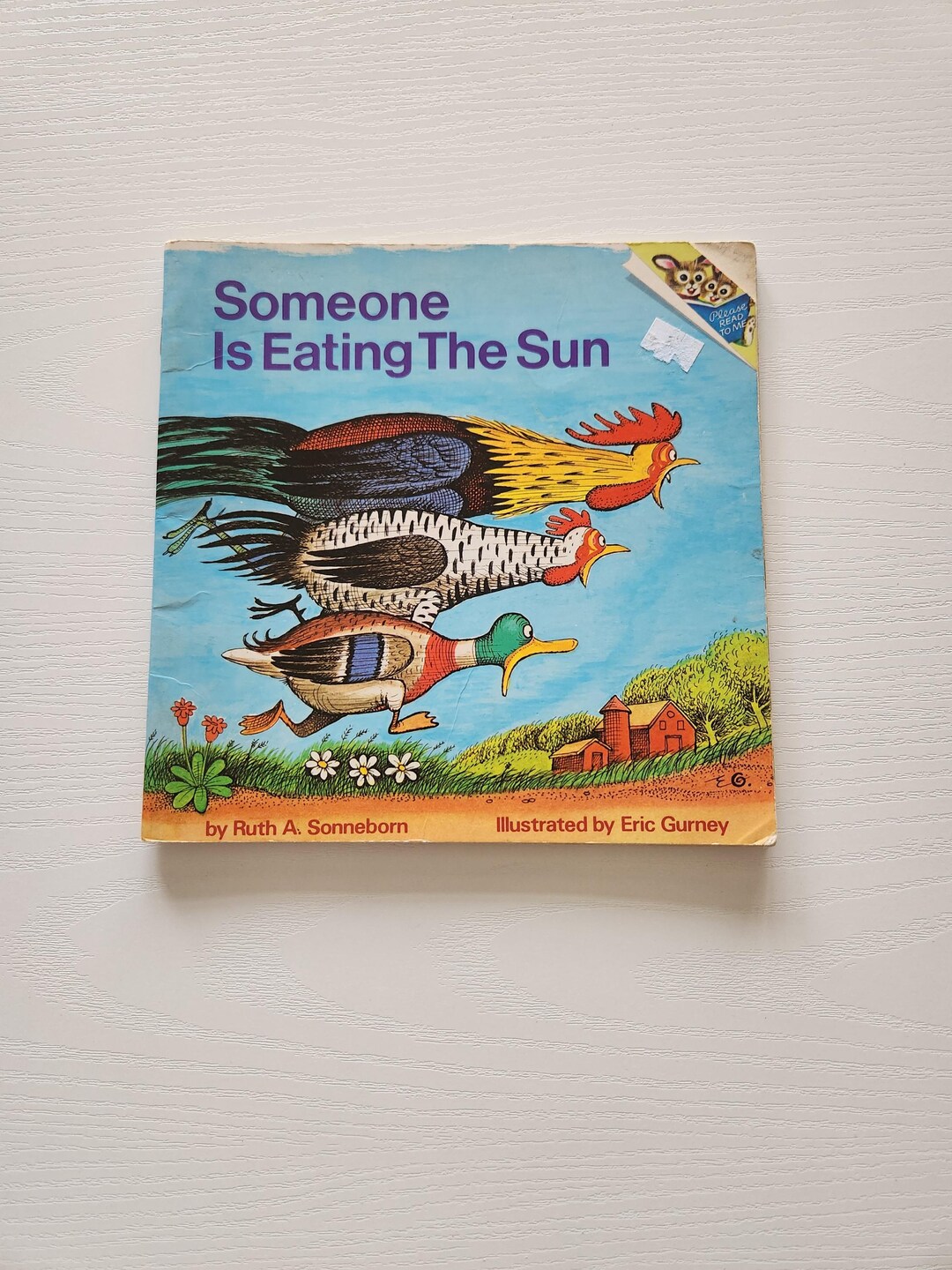 Someone is Eating the Sun by Ruth A. Sonneborn { 1974 } Vintage ...