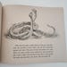 Snake Fights Rabbit Fights & More A Book About Animal Fighting by ...