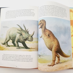 Dinosaurs & Prehistoric Animals by Graham Wellfare -- 1981 Vintage ...