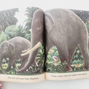Wild Animals Pictures by Feodor Rojankovsky 1960s Vintage Children's ...