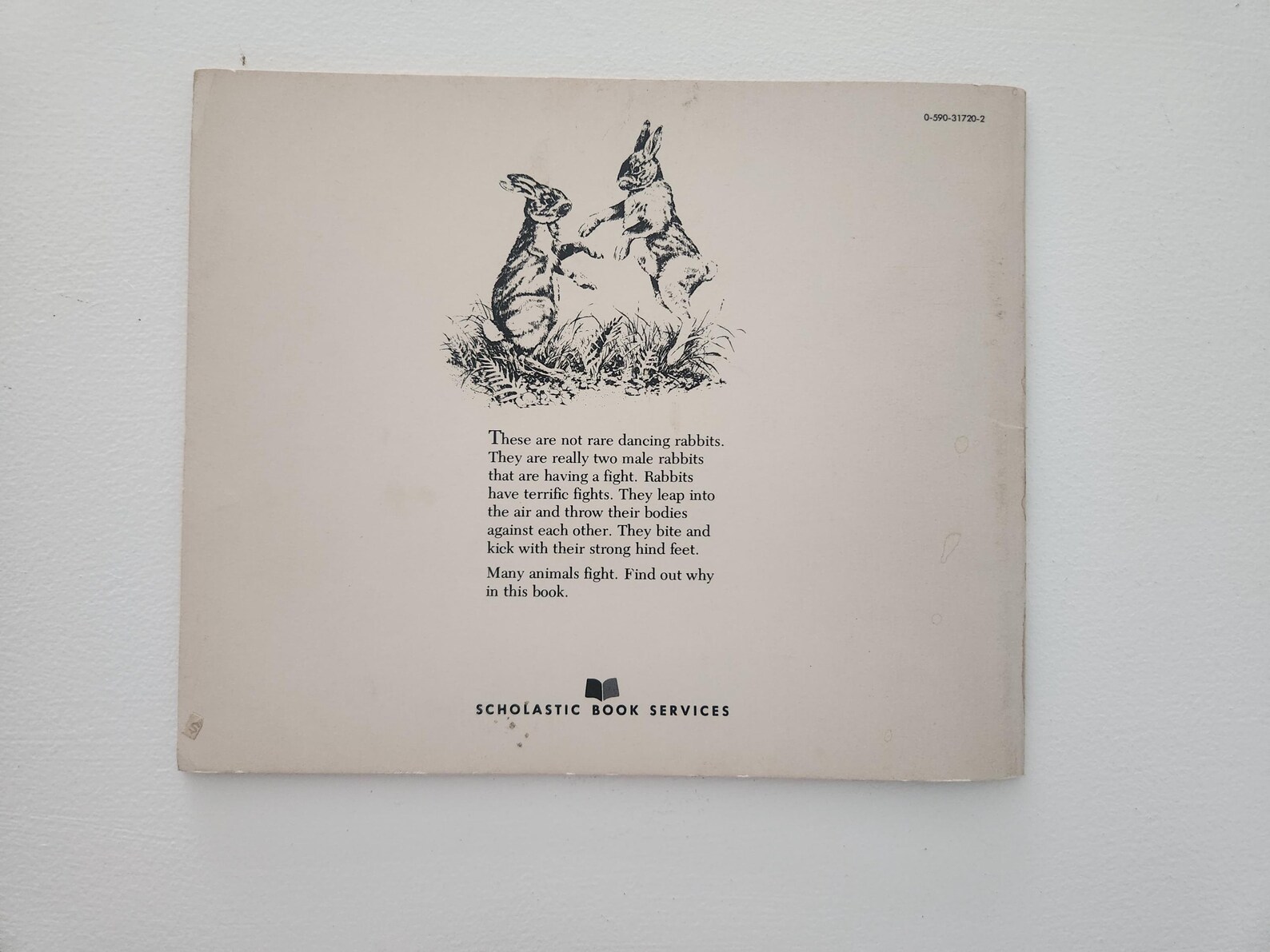 Snake Fights Rabbit Fights & More A Book About Animal Fighting by ...