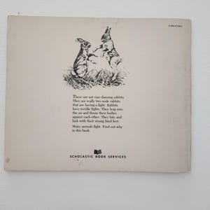 Snake Fights Rabbit Fights & More A Book About Animal Fighting by ...