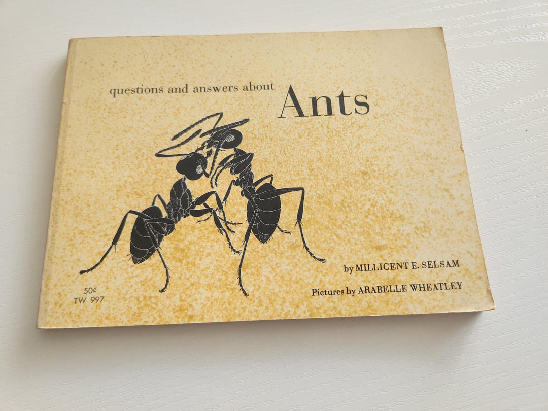Questions and Answers About Ants by Millicent Selsam -- 1973 Vintage ...