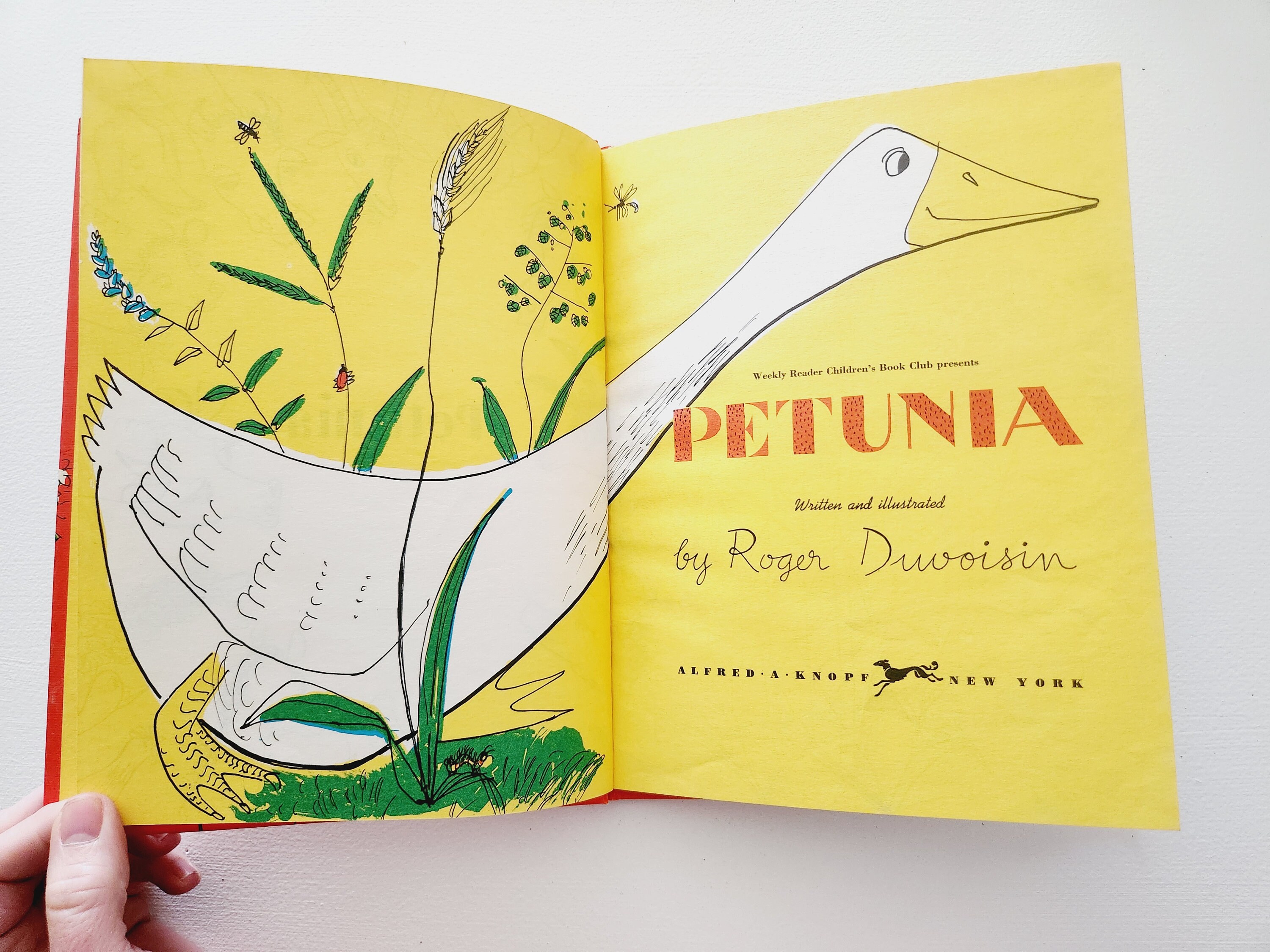 Petunia by Roger Duvoisin { 1950 } Vintage Children's Picture Book ...