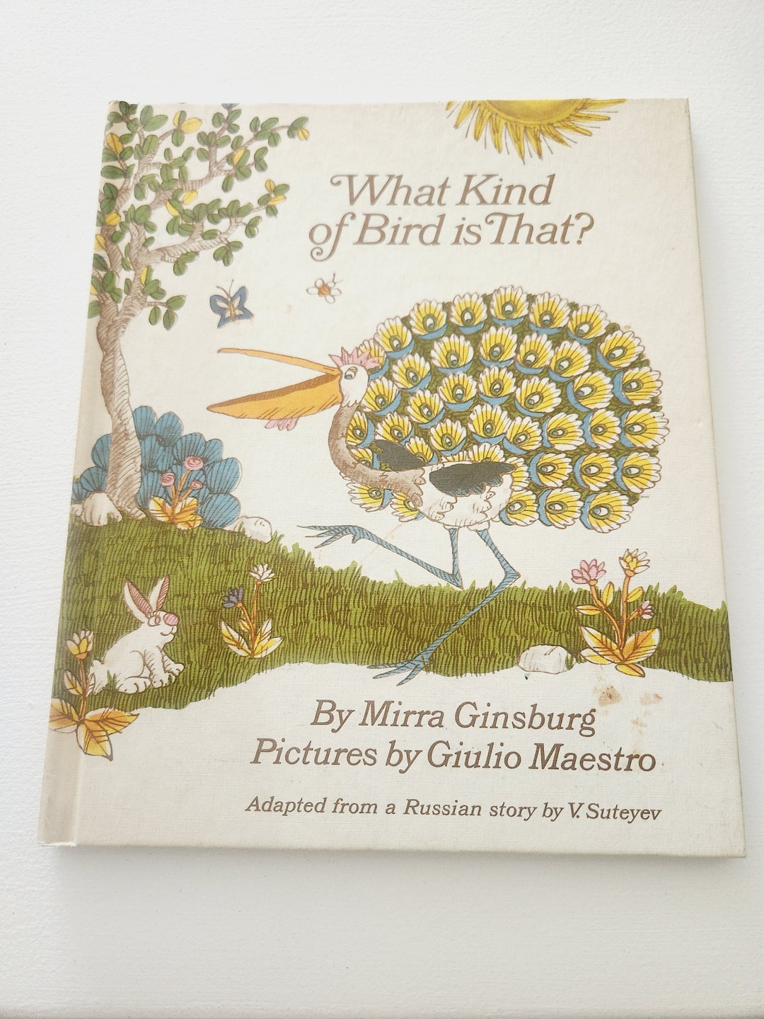 What Kind of Bird is That by Mirra Ginsburg -- 1973 Vintage Children's ...