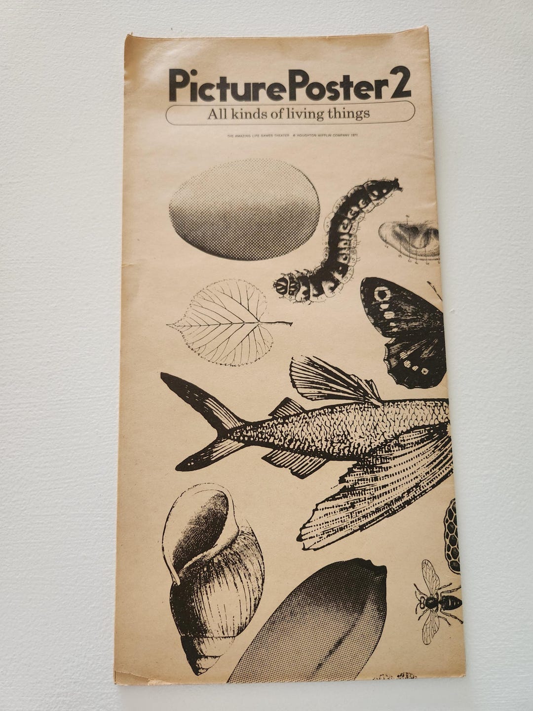 Vintage All Kinds of Living Things Picture Poster the Amazing Life Game ...