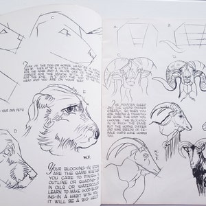 Vintage Drawing Books Drawing Simplified in Pen Pencil Brush Charcoal ...