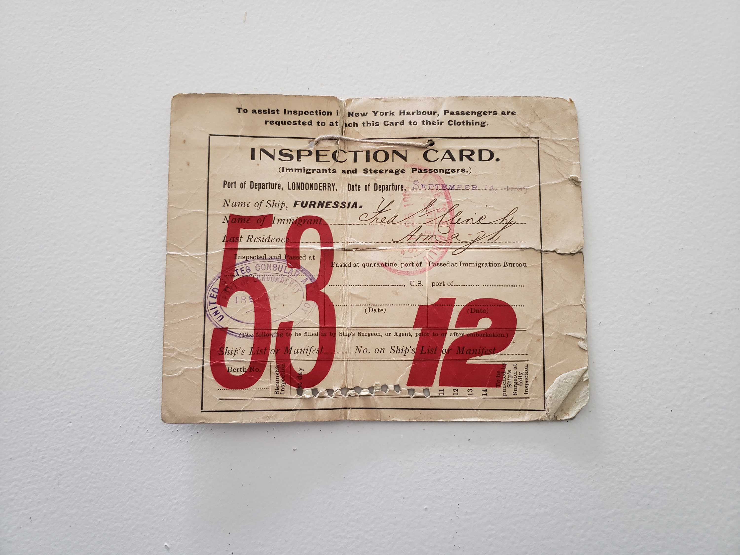 Ellis Island Immigrants Inspection