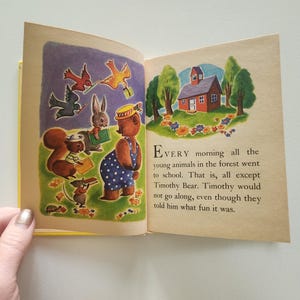 Timothy the Little Brown Bear – 1949 Vintage Children's Book - Etsy