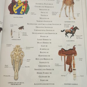 Eyewitness Visual Dictionaries the Visual Dictionary of the Horse ...